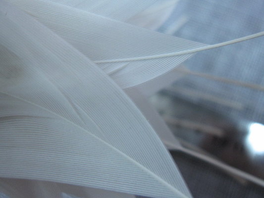 Unique Small White Cock Feather Flower Fascinator , Party Dance Hair Accessories