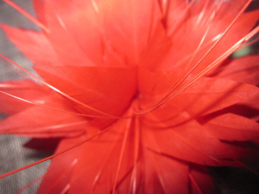 Red Feather Flower Fascinator