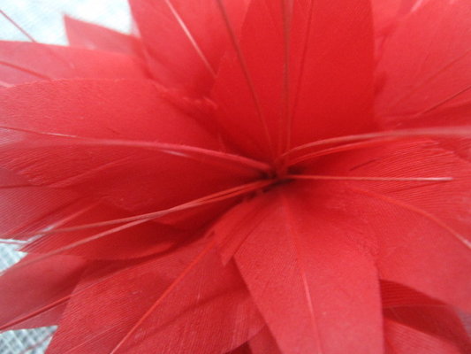 Red Cock Tail Feather Flower Fascinator For Occassion Place , Wedding Hair Pieces