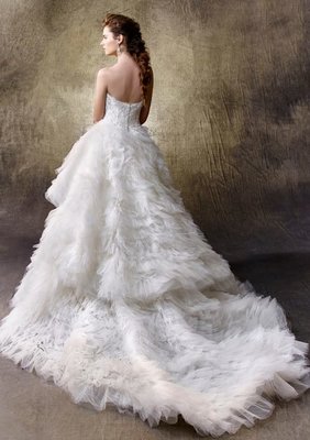 Lace Champagne Shoulder Princess Ball Gown Wedding Dresses For Wedding Bride