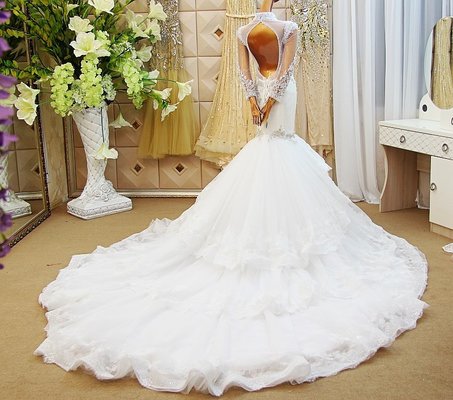 High-end Wedding Dress Perspective from European and American High-collar Fishtail Sexy Belt with Tail and Long Sleeve