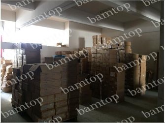 Bamtop Technology Ltd.