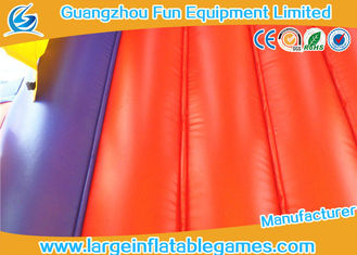 Customized Inflatable Bouncer With Slide , Kids Inflatable Jumping Castles For Rent