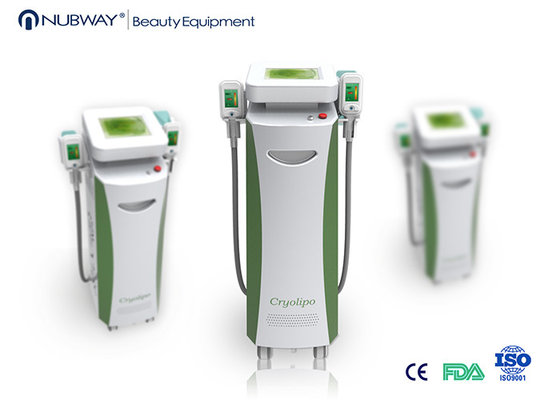 Chinese beauty equipment supplier Cool sculpting cavitaiton and RF 3 in 1 5 handles fat freezing slimming machine