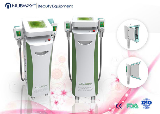 2016 Chritmas promotion! cryolipolyisis slimming/ cryolipolysis fat freezing weight loss/ Cool sculpting  machine