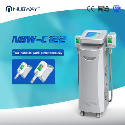 Germany hottest! Fat Remove/2 handles/ cryolipolysis slimming machine Chinese supplier for spa and clinic