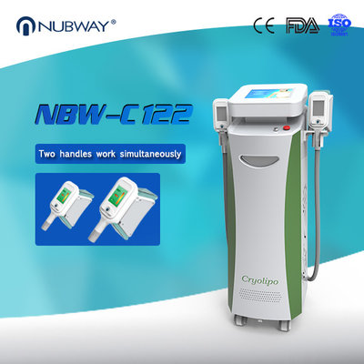CE/FDA  Cryolipolysis fat freezing RF cavitation machine lowest  tempeature -15oC  for whole body treatment for spa use