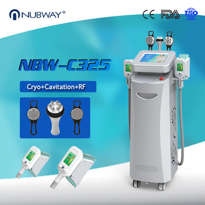 CE/FDA  Cryolipolysis fat freezing RF cavitation machine lowest  tempeature -15oC  for whole body treatment for spa use