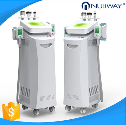 5 handles cool sculpting/cryolipolysis wight loss fat removal salon beauty equipment with CE approved