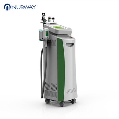 OEM and ODM service 5 handles cryoliplysis , cavitaiton and RF body slimming, cool sculpting weight loss machine