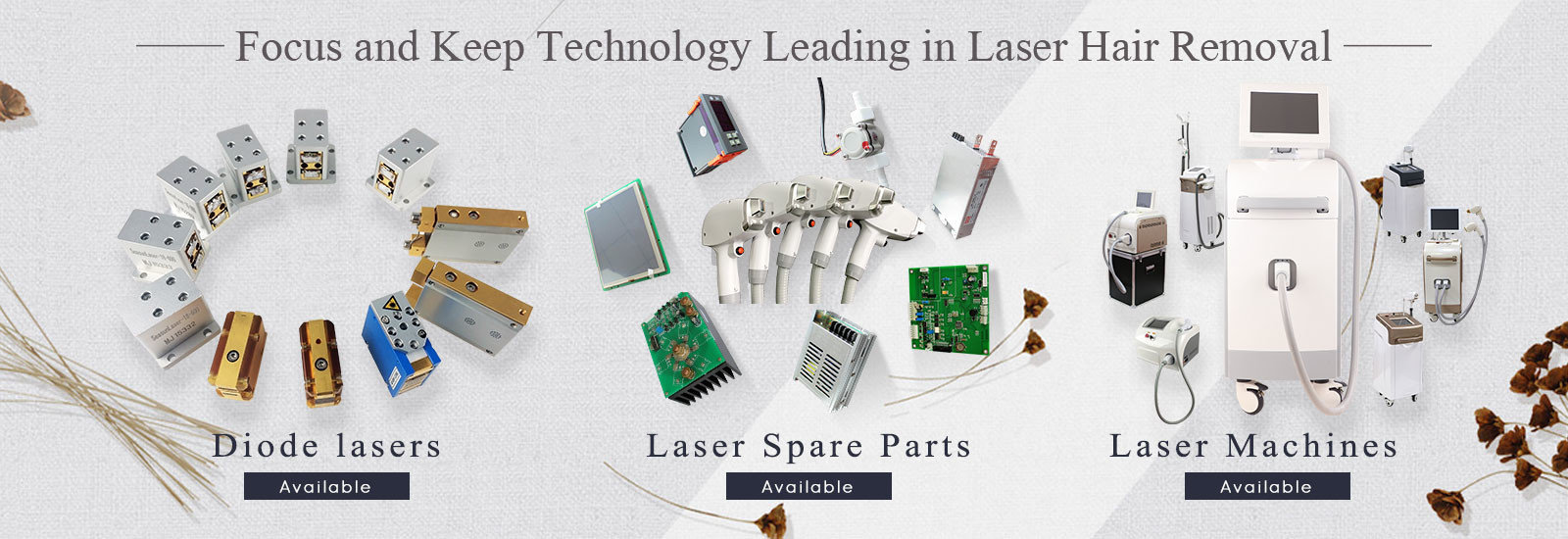 quality Diode Laser Hair Removal Machine factory