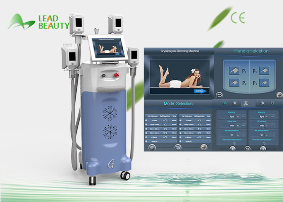 World best selling products Cryolipolysis machine with 4 handles