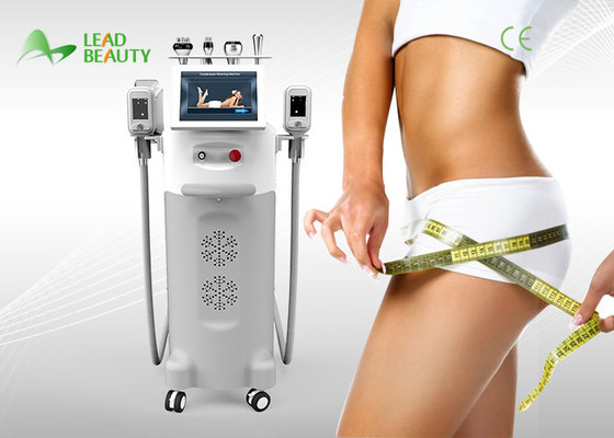 2016 LEADBEAUTY Hot Sell Cryolipolysis Cold Body Sculpting Machine For Sale