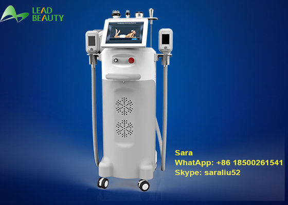 2016 LEADBEAUTY Hot Sell Cryolipolysis Cold Body Sculpting Machine For Sale