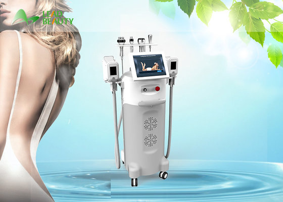 Professional best price sculpting body slimming weight loss cryolipolysis