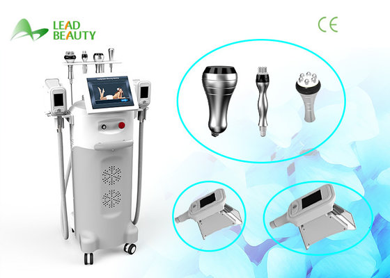 Reduce big fat kryolipolysis slimming machine on sale with high quality