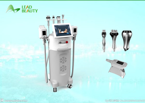 5 handlepiece cryo lipolysis slimming machine for factory sale