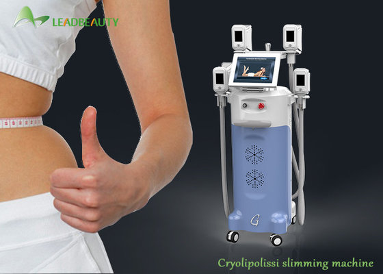 Coolplas Cryolipolysis slimming machine/Cryolipolysis machine for spa use