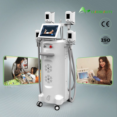 2018 Newest Cryolipo Beauty Salon Equipment / Fat Freezing Beauty Salon Equipment / Lipo Cryo