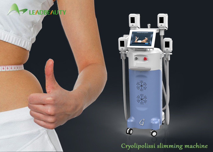 2000W high power Cryolipolysis vacuum cold laser body slimming machine portable machine 12 inch screen