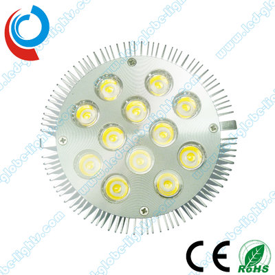4000K - 5000K White 12w E27 Edison, Cree, Epistar Spot Light LED PAR38 Bulbs Lamps