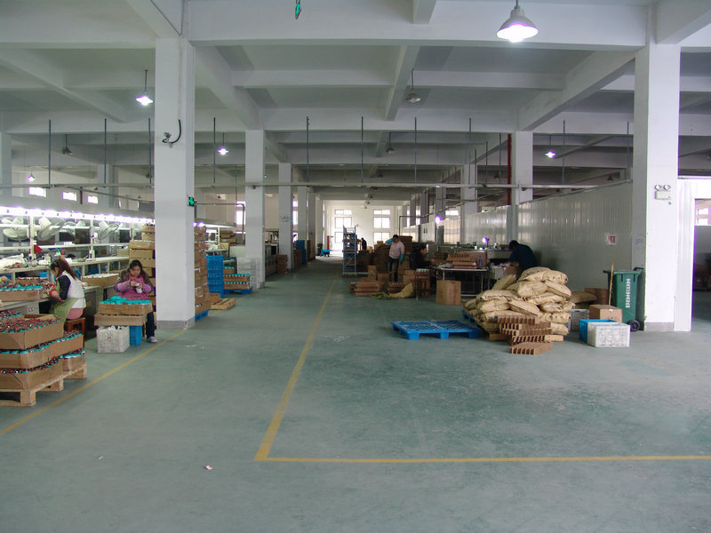 Hangzhou lin’an Hengsheng Technology Co.,Ltd manufacturer production line