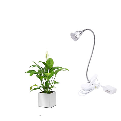 2 Red + 2 Blue + 1 White LED Growing Light For Flowering 5pcs LED Quantity