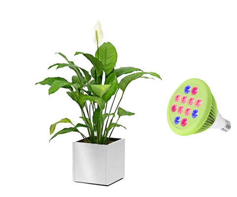 24 Watt Power Flowering Grow Light , Indoor Plant Spotlight 9 Red Lights + 3 Blue Lights