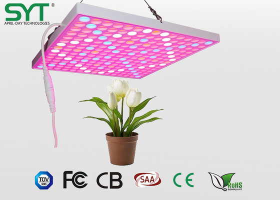 Flat Integrated 50w Led Growing Light Grow Led Panel For Greenhouse And Home Garden