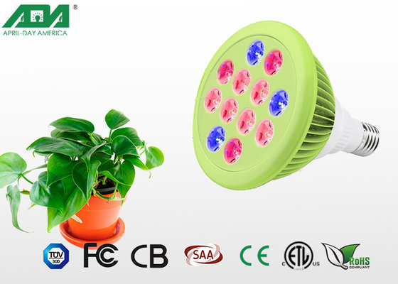 Fashionable 24w Horticulture LED Lights for growing plants , Red + Blue Color