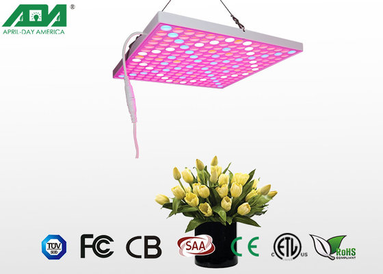50W Fashionable Led Growing Light , Led Full Spectrum Grow Lights For Indoor Gardening