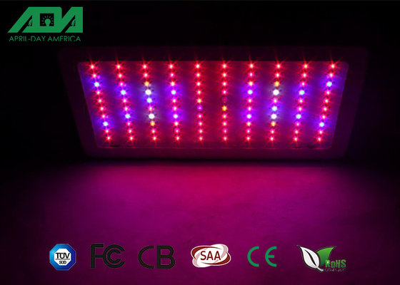 Actual 150W LED Growing Light Full Spectrum 1000w 800w Hps LED Grow Lights For Vegetables