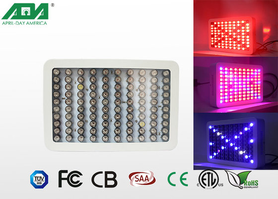 300W 1000W Led Grow Lights For Instant Growing Plant , 50000h Lifespan