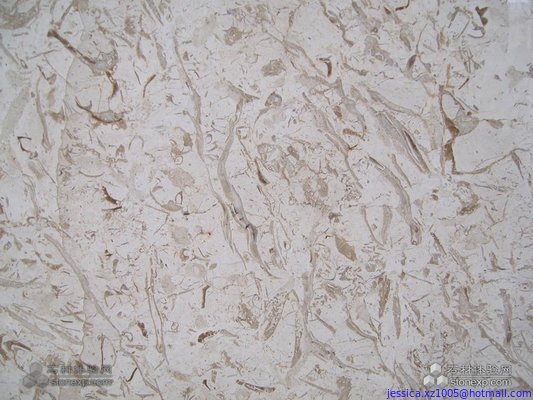 Popular Polishing Natural CREAM FLOWER Marble Cut To Size Slabs