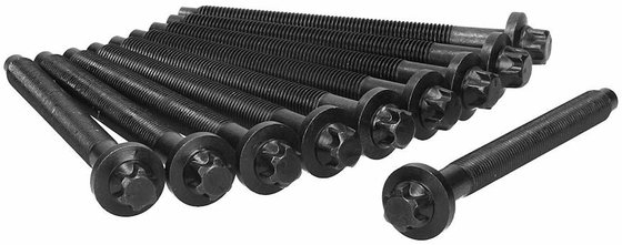 Peugeot Cylinder Head Bolt 81006700 81034200 81038800 81044100 81015100 81044200 81040200 81024700 81039600 81001000