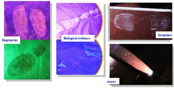 High-Power Forensic Alternative Light OR-GSS200