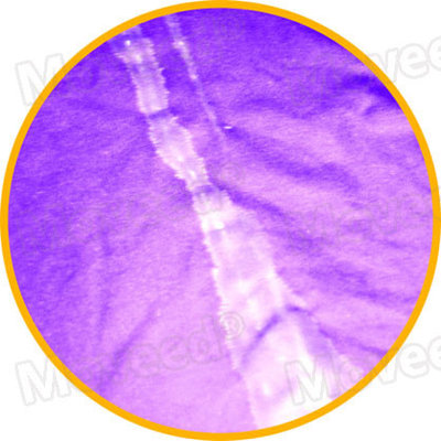 Moveed®  Forensic Portable Ten-band Uniform Detection LED Light Source OR-GSS100