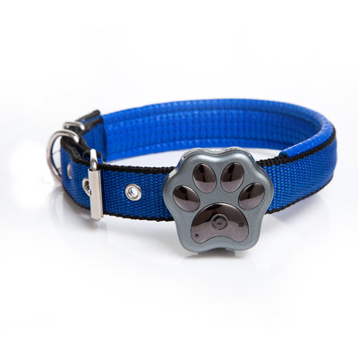 Dog Collars Pet Gps Tracker / Waterproof IP66 Animal Gps Tracker