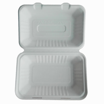 9"x6" biodegradable bagasse food container disposable tableware