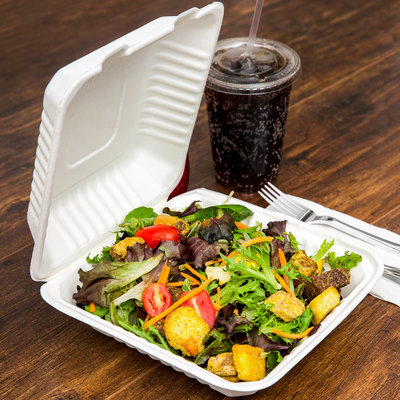 9" biodegradable sugarcane fiber clamshell disposable bagasse food box