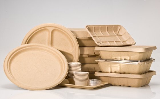 8" 3 Compartment Biodegradable Clamshell Sugarcane Fiber Compartment Bento Lunch Box