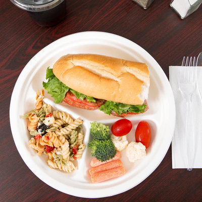 9inch Round Sugarcane plate unbleached biodegradable bagasse pulp plates without compartment