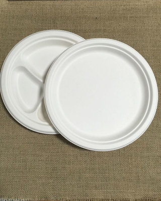 10inch disposable sugarcane plates bagasse pulp tableware compostable food plate