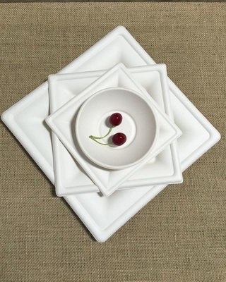 10inch disposable sugarcane plates bagasse pulp tableware compostable food plate