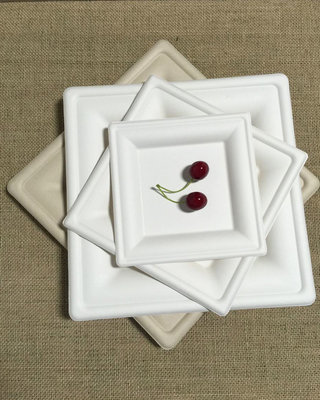 6inch disposable bagasse plate square sugarcane firber tableware