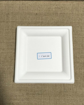 10inch 100% biodegradable bagasse plate square compostable sugarcane plate