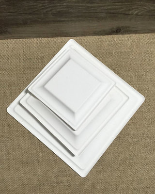 10inch 100% biodegradable bagasse plate square compostable sugarcane plate