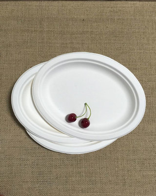 12.5" x 10"inch disposable oval plates biodegradable sugarcane bagasse plate