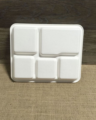 Disposable 5 compartmernt sugarcane tray biodegradable bagasse plate or tray