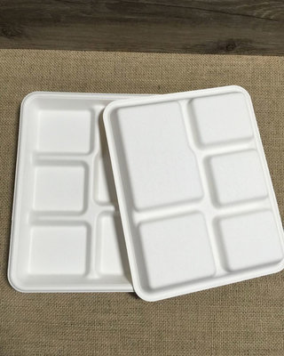 Disposable 5 compartmernt sugarcane tray biodegradable bagasse plate or tray